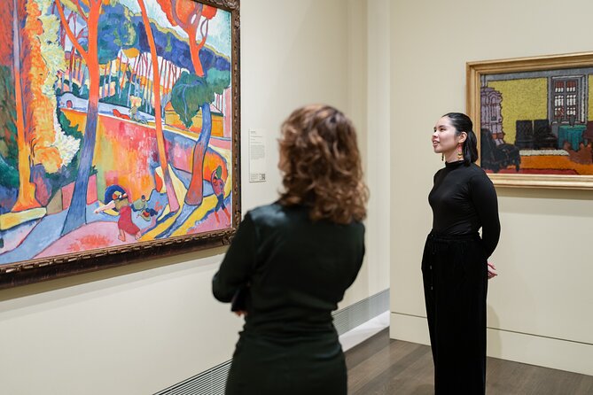 Museum of Fine Arts, Houston All Access Admission Ticket - Key Points