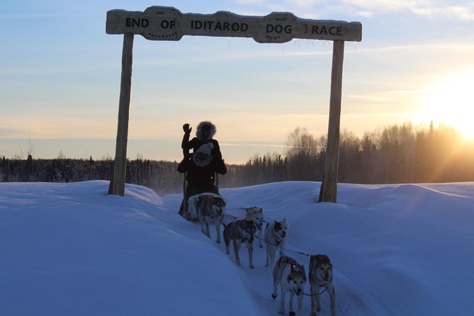 Mush Your Own Sled Dog Team (Winter Tour) in Talkeetna, Alaska - Practical Details and Considerations