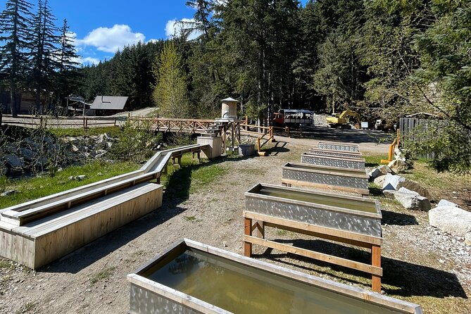 Musher's Camp and Gold Panning Adventure - Detailed Breakdown of the Itinerary