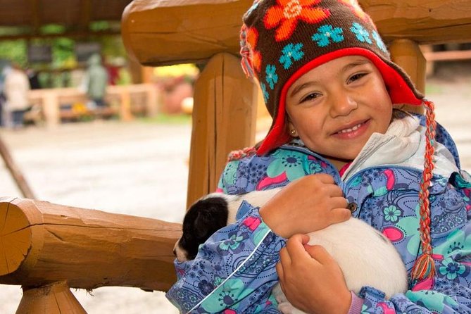 Musher's Camp and S'more Roasting Experience - Practical Tips for Future Travelers
