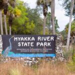 Myakka State Park E-bike Safari - The Canopy Walkway Experience
