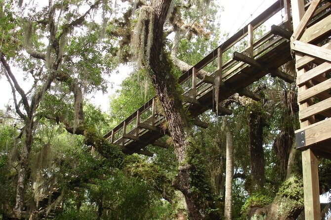 Myakka State Park E-bike Safari - The Group Dynamic and Guides