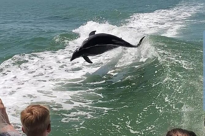 Myrtle Beach Dolphin Cruise - FAQs