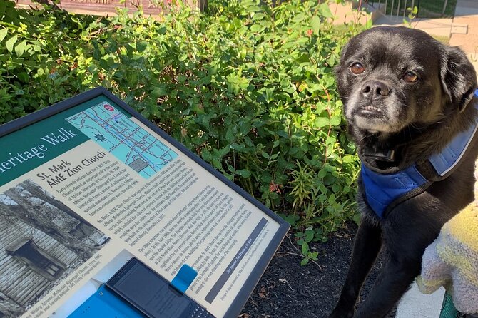 Mysteries on the Move: Scavenger Hunt in Savannah - Authentic Feedback from Reviewers