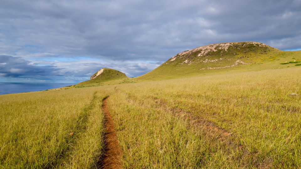 Mystery of the Poike:Walk through the most unknown Rapa Nui - Authentic Insights from Past Travelers