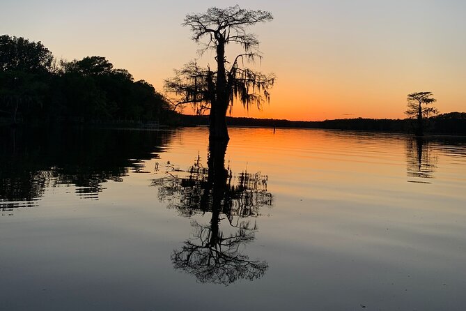 Mystical Private Kayak and Canoe Tours on Caddo Lake - Introduction
