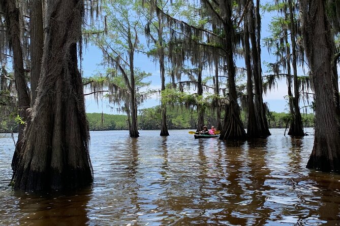 Mystical Private Kayak and Canoe Tours on Caddo Lake - Pricing and Value