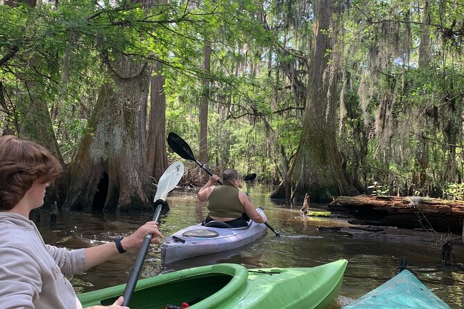 Mystical Private Kayak and Canoe Tours on Caddo Lake - Cancellation Policy and Practicalities