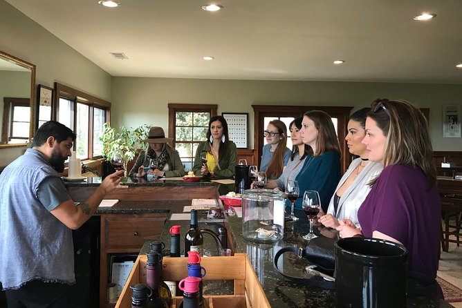 N. Georgia Mountains Private 3 Vineyard (8 guest min.) Wine Tour - What the Tour Entails: A Fully Curated Day in North Georgia