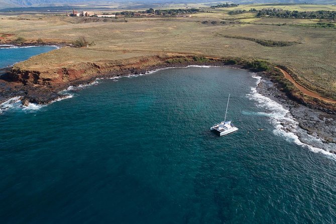 Na Pali Coast Kauai Snorkel and Sail - Marine Encounters and Wildlife
