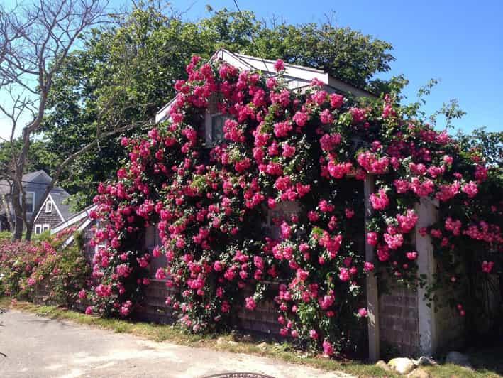 Nantucket: Historical Landmarks Sightseeing Bus Tour - The Guidance and Group Experience