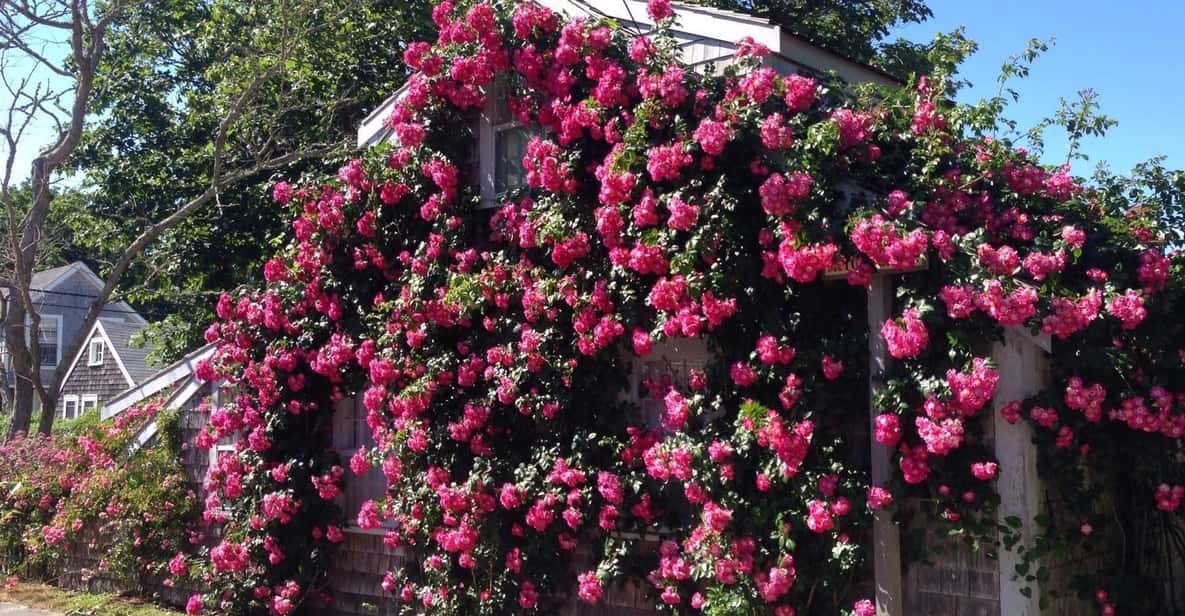 Nantucket: Historical Landmarks Sightseeing Bus Tour - Practical Details and Value