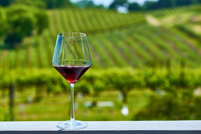 Napa and Sonoma Full-Day Wine Tour from San Francisco - Who Will Love This Tour?