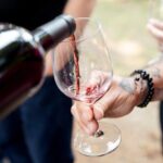Napa and Sonoma Wine Country Full-Day Tour from San Francisco - Transportation and Group Size