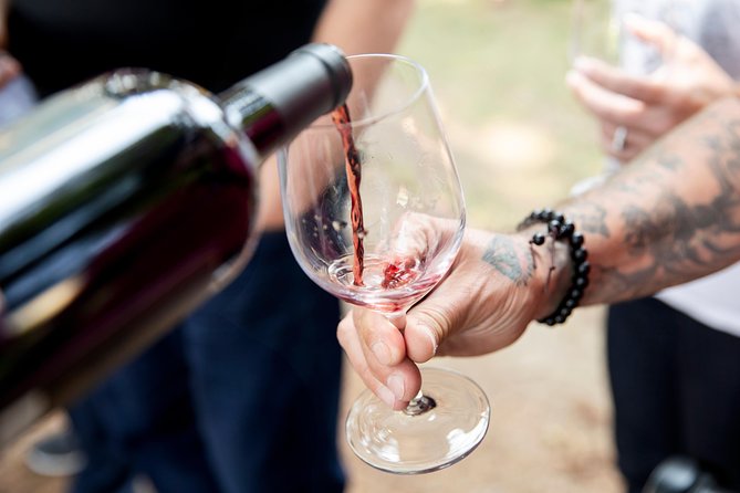Napa and Sonoma Wine Country Full-Day Tour from San Francisco - Transportation and Group Size