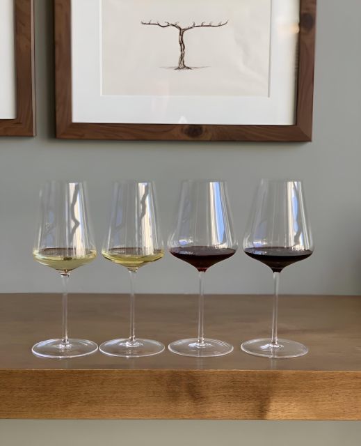 Napa: Intro to Wine Tasting with Napa Sommelière - The Sum Up