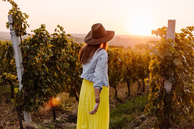 Napa or Sonoma Private Wine Tour from San Francisco - FAQ