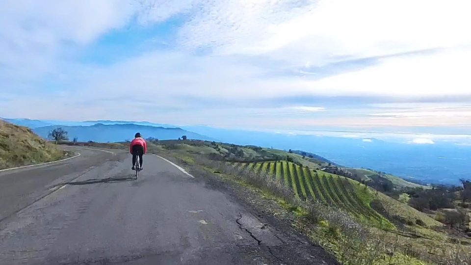 Napa/Sonoma: Guided Tour for Cycling Enthusiasts - Key Points
