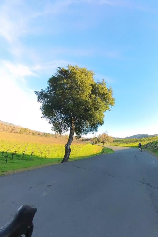 Napa/Sonoma: Guided Tour for Cycling Enthusiasts - Why Choose This Napa/Sonoma Cycling Tour?