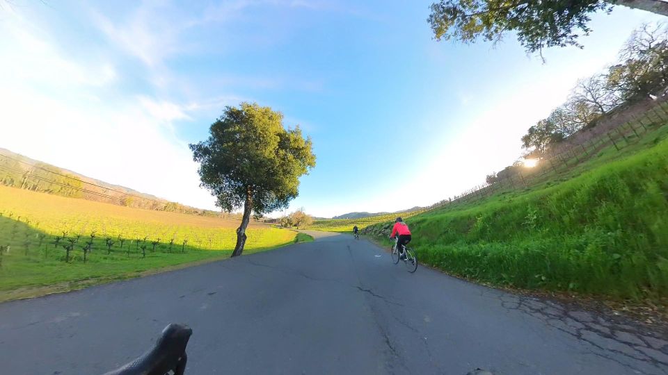 Napa/Sonoma: Guided Tour for Cycling Enthusiasts - The Value of the Tour