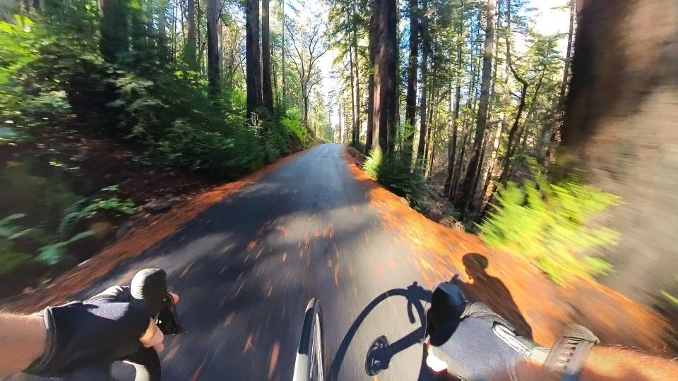 Napa/Sonoma: Guided Tour for Cycling Enthusiasts - Who Will Love This Tour?