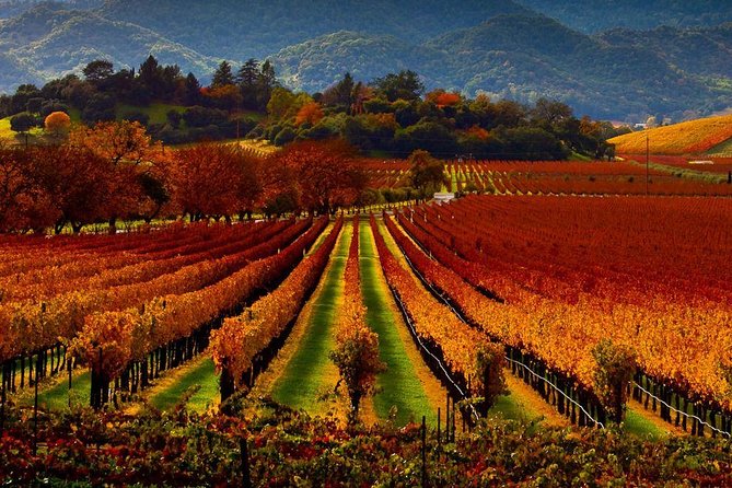 Napa - Sonoma Limo up to 9 passengers - What makes this tour stand out?