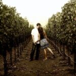 Napa - Sonoma Limo up to 9 passengers - The vehicle and comfort