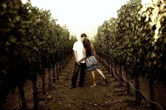 Napa - Sonoma Limo up to 9 passengers - The vehicle and comfort