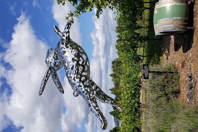 Napa & Sonoma Tours - The Winery Visits: What to Expect