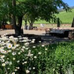 Napa & Sonoma Wine Tour | 6-8hr Private Fully Customized.*XL SUV - Who Is This Tour Best For?