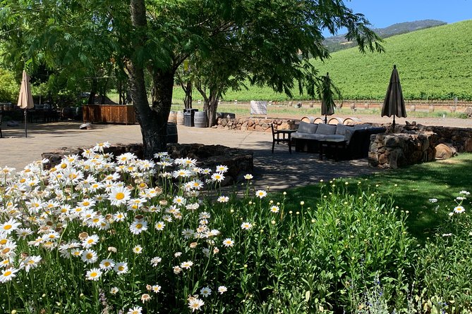Napa & Sonoma Wine Tour | 6-8hr Private Fully Customized.*XL SUV - Who Is This Tour Best For?