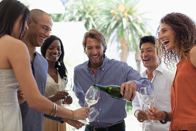 Napa & Sonoma Wine Tour | 6-8hr Private Fully Customized.*XL SUV - Final Words