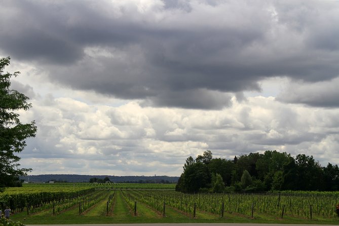 Napa & Sonoma Wine Tour Private Tours 8 to 10 Hours max 14 pax - An Honest Look at the Napa & Sonoma Private Wine Tour