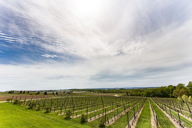 Napa & Sonoma Wine Tour Private Tours 8 to 10 Hours max 14 pax - Why This Tour Offers Good Value