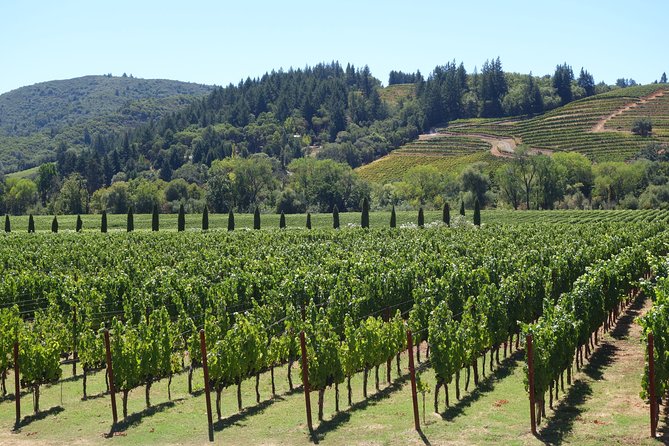 Napa & Sonoma Wine Tour Private Tours 8 to 10 Hours max 14 pax - FAQs