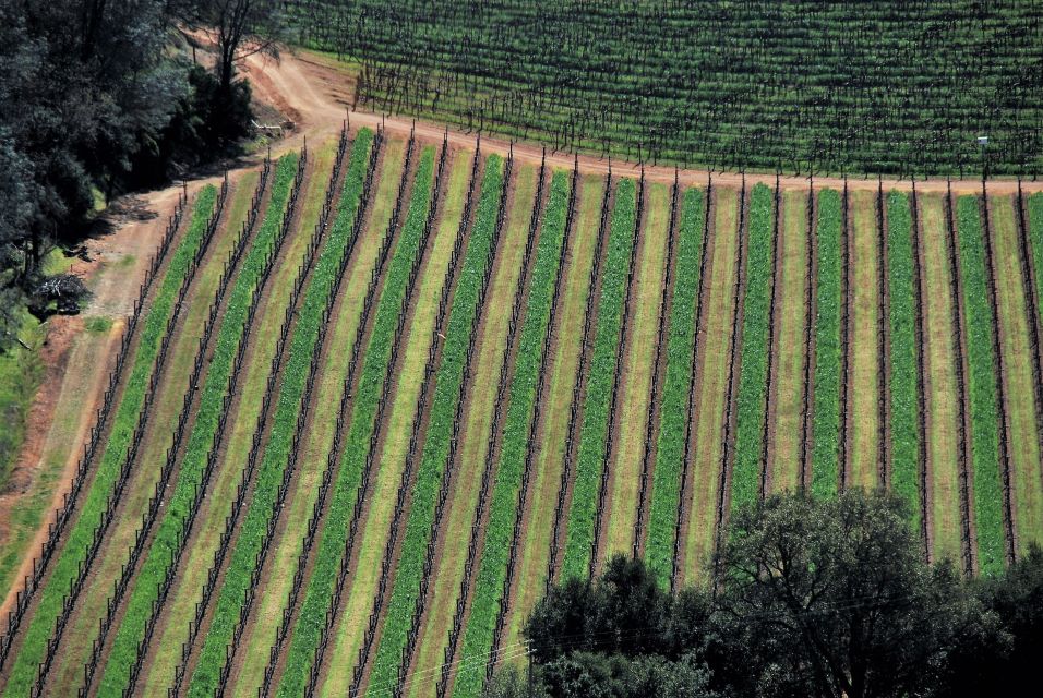 Napa Valley: Airplane Napa Valley Tour - FAQ Section