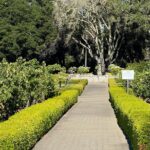 Napa Valley Luxury Wine Tours & Car Services - Whats Included & What to Keep in Mind