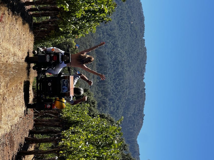Napa Valley: Napa Valley Guided Sidecar Tour with 3 Wineries - What Past Guests Say