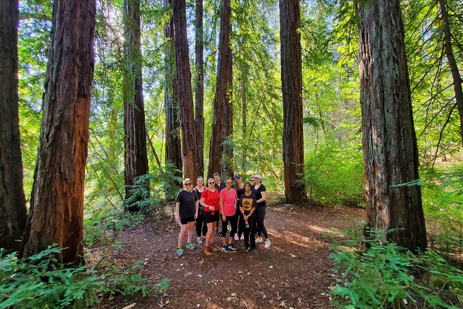 Napa Valley Redwood Hike - What to Expect During the Hike