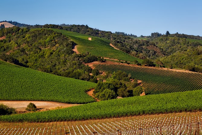 Napa Valley Wine Tasting Tour 6 to 8 Hours max 14 passenger - Napa Valley Wine Tasting Tour 6 to 8 Hours max 14 passenger