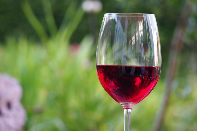 Napa Valley Wine Tasting Tour 6 to 8 Hours max 14 passenger - Key Points