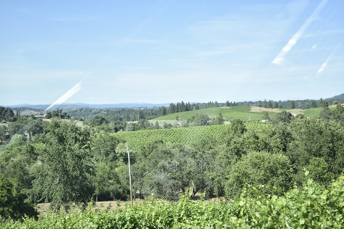 Napa Valley Wine Tasting Tour 6 to 8 Hours max 14 passenger - What’s Included and What You Need to Budget For