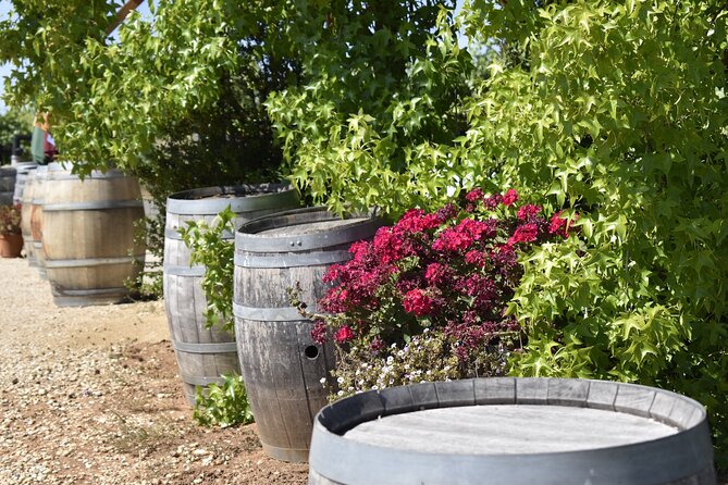 Napa Valley Wine Tasting Tour 6 to 8 Hours max 14 passenger - Who Is This Tour Perfect For?