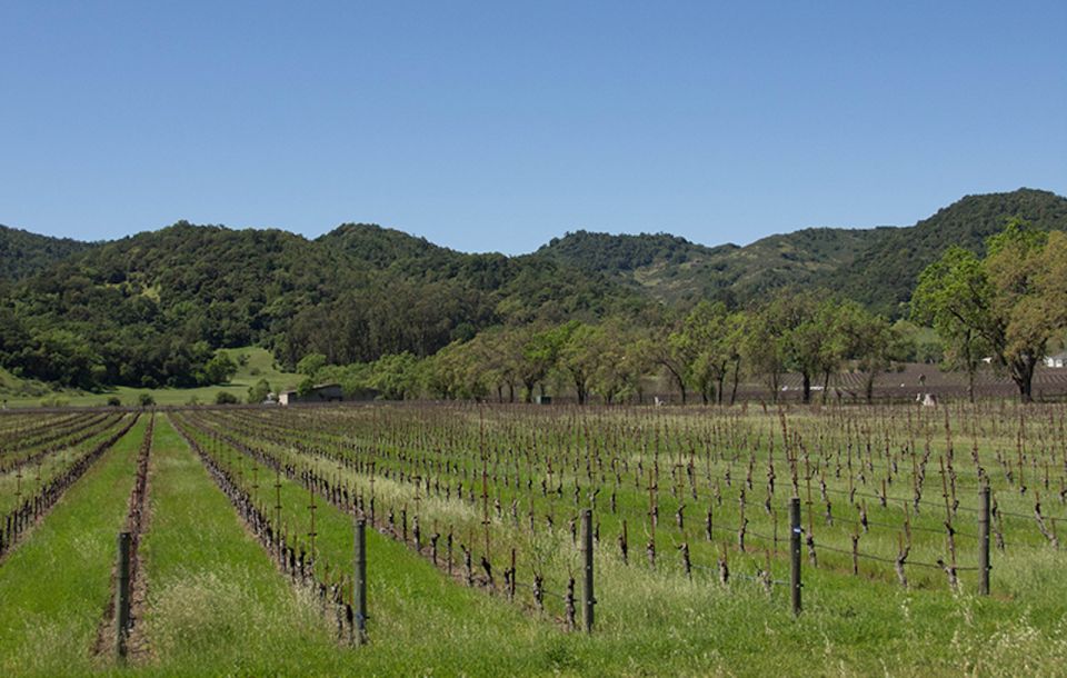 Napa Valley: Wine Tasting Tour by Open Air Trolley & Lunch - Who Is This Tour Best For?