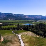 Napa Valley's Best Wine Tour w/ Local Expert - What You Can Expect from the Itinerary