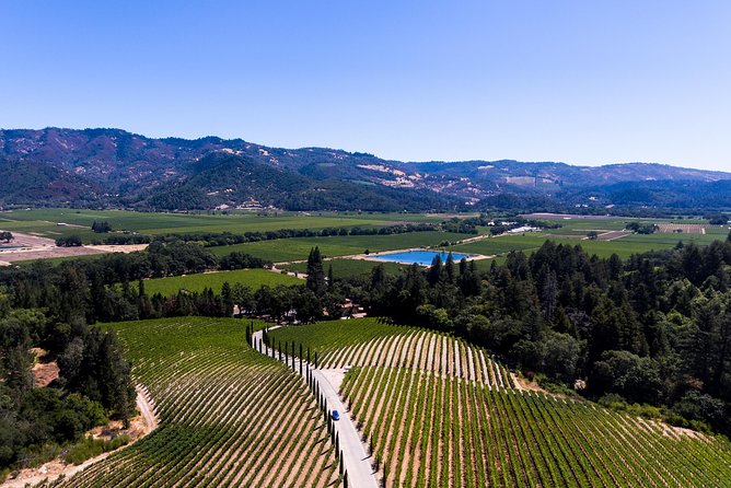 Napa Valley's Best Wine Tour w/ Local Expert - What You Can Expect from the Itinerary