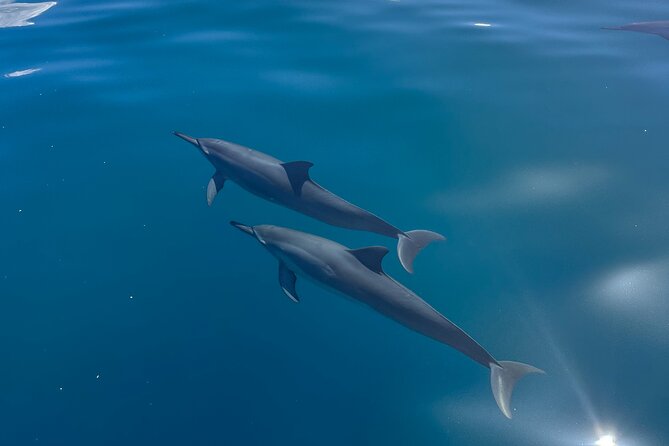 NaPali Boat Tour on the Amelia K - FAQ