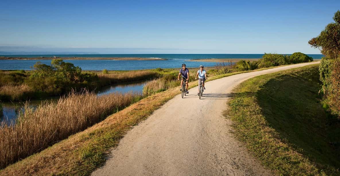 Napier: Cape Coast Winery Tour on Pedal or E-Bikes - Key Points
