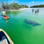 Naples, FL: Guided Standup Paddleboard or Kayak Tour - Practical Tips for Booking & Participation