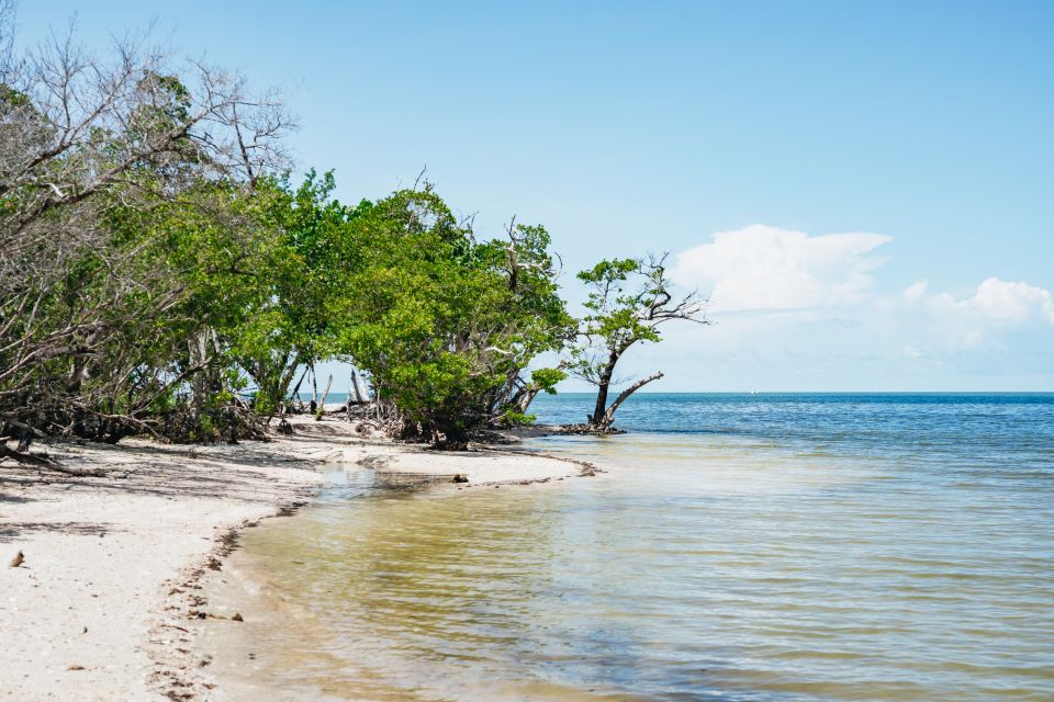 Naples, FL: Manatee, Dolphin, 10,000 Islands Beach Eco Tour - Who Will Love This Tour?